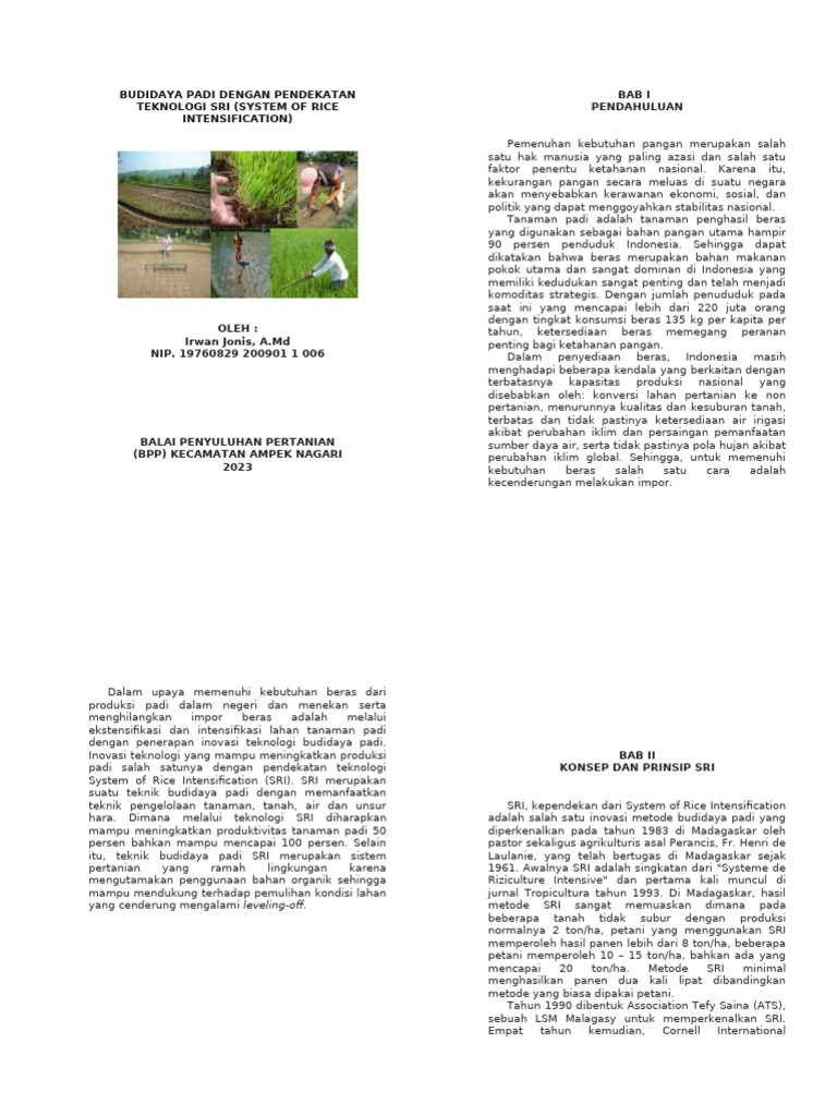Budidaya Padi dengan Metode SRI | PDF