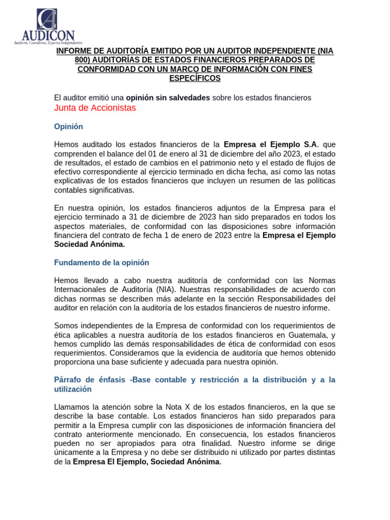 Informe de Auditoría Emitido Por Un Auditor Independiente | PDF | Auditoría | Estado financiero