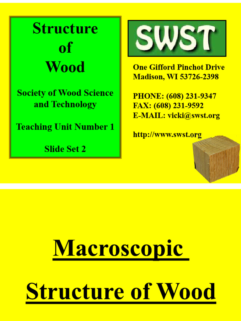 SWST-Structure of Wood | PDF | Cellulose | Wood
