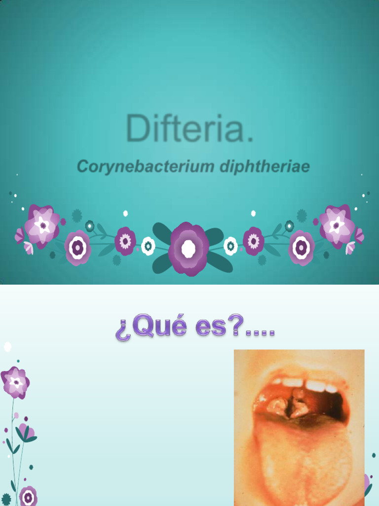 Difteria | PDF | Especialidades Medicas | Medicina CLINICA