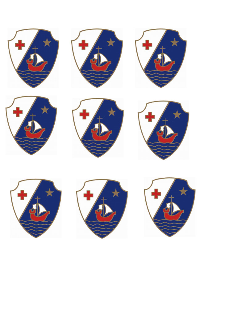 Insignias | PDF
