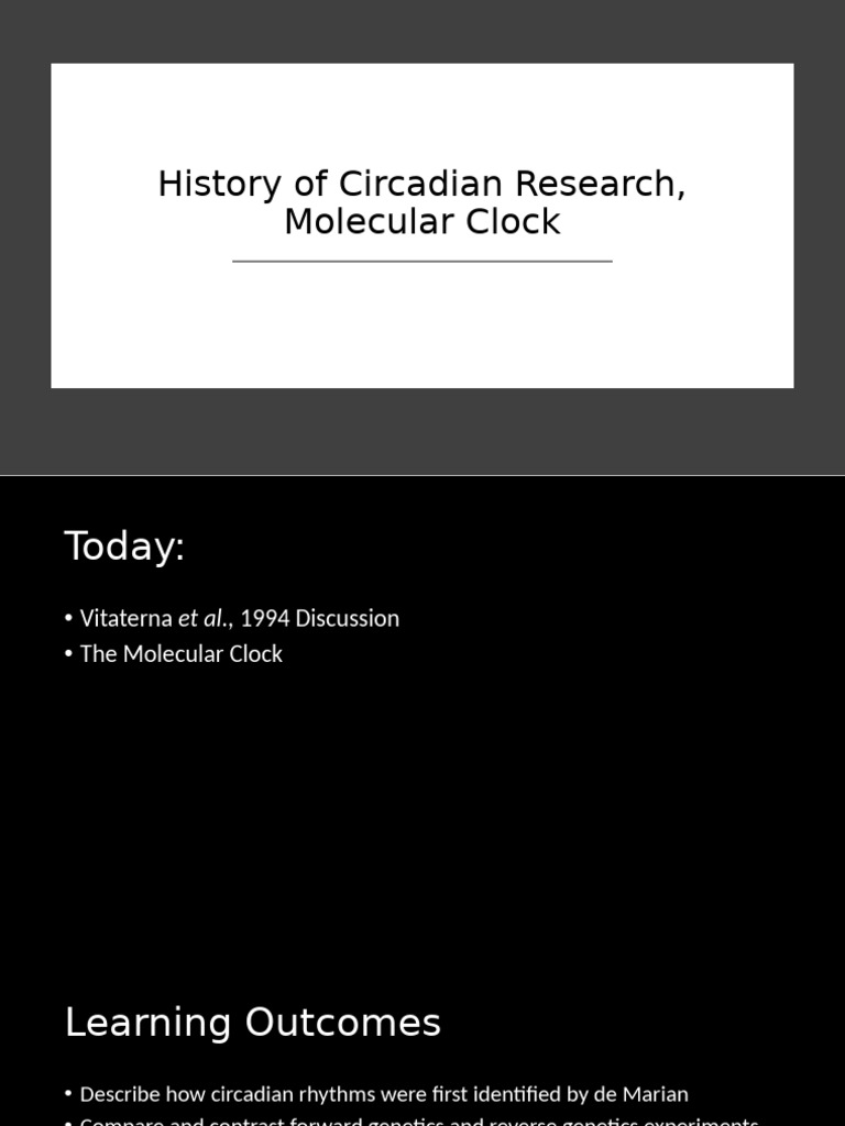 Genetic Clock - F24 | PDF | Clock | Circadian Rhythm