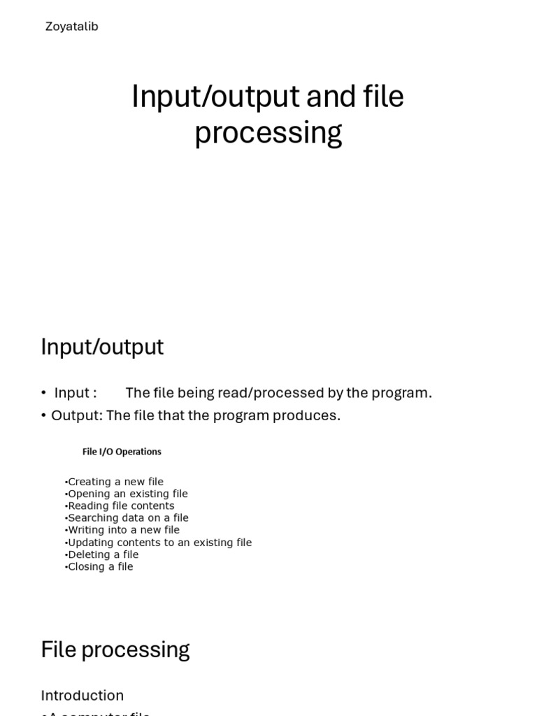 Input Output And File Processing Pdf Art Computers