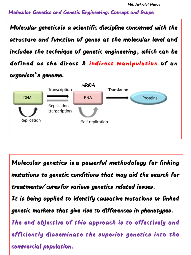 Class Notes-Introduction To Molecular Genetics | PDF | Crispr | Genetic ...