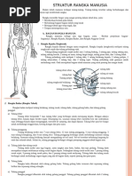 LKPD Sistem Rangka Manusia | PDF