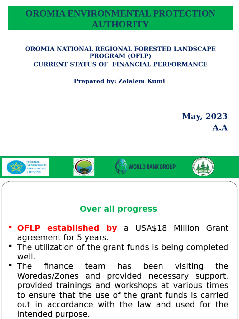 FM Performance Presentaion | PDF | Natural Environment | Economies