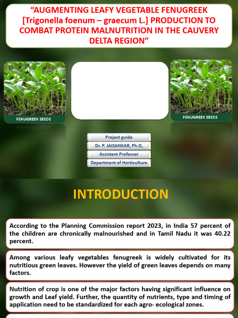 Research Project (Horti) | PDF | Vegetables | Agriculture