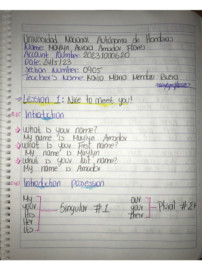 Actividad 1 - Toma de Notas. Lección 1 Nice To Meet You ( | PDF