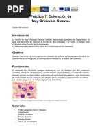 Protocolo de Tinción de Giemsa | PDF | Tinción | Química