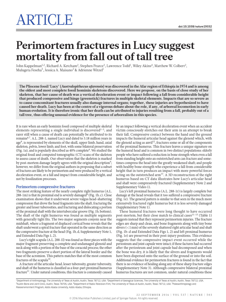 Perimortem Fractures in Lucy Suggest Mortality From Fall Out of Tall ...