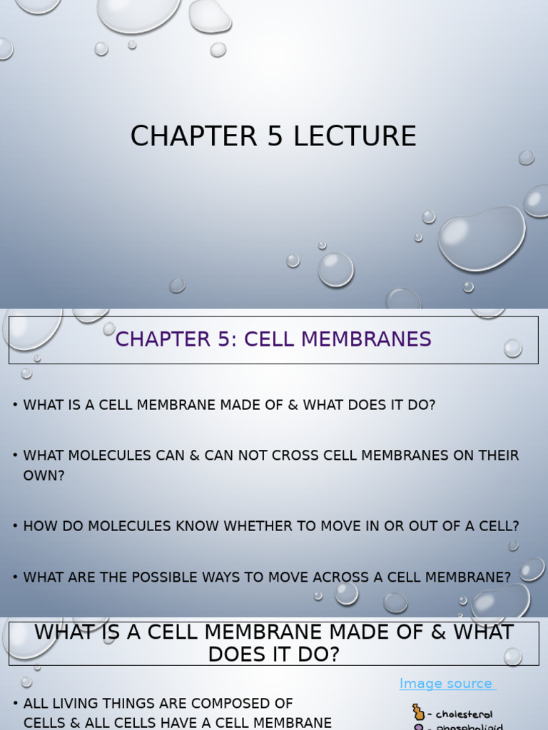 CH5 Lecture Presentation RD ADL | PDF | Cell Membrane | Phospholipid