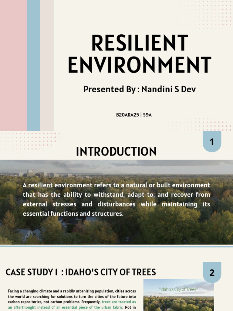 Up Assignment 4 - Compressed | PDF | Natural Environment | Forests