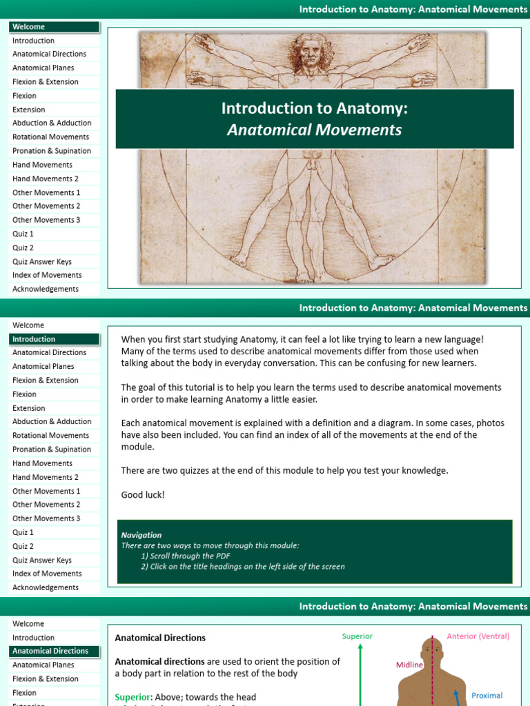 Anatomy Movements Syllabus | PDF | Anatomical Terms Of Motion ...