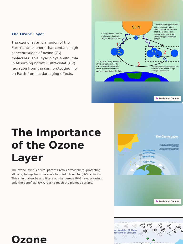 The-Ozone-Layer | PDF | Water Pollution | Water