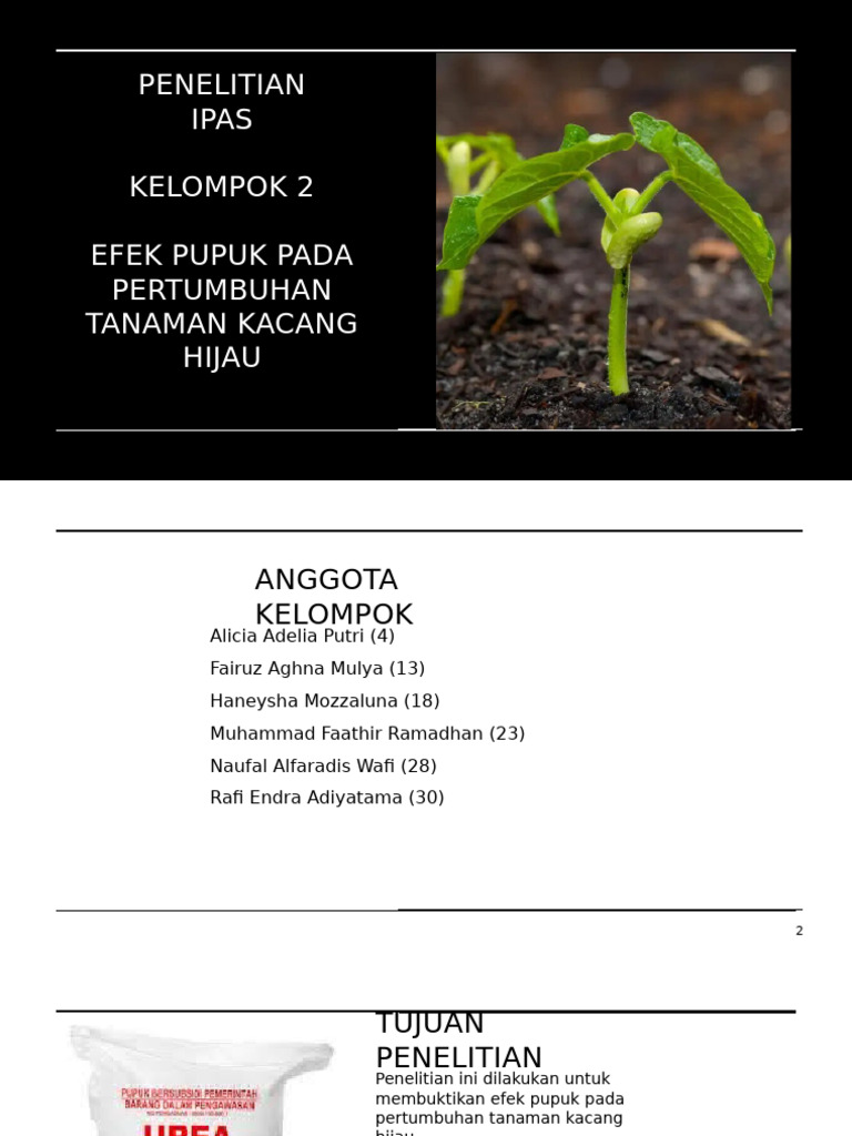 Chronicle Design | PDF