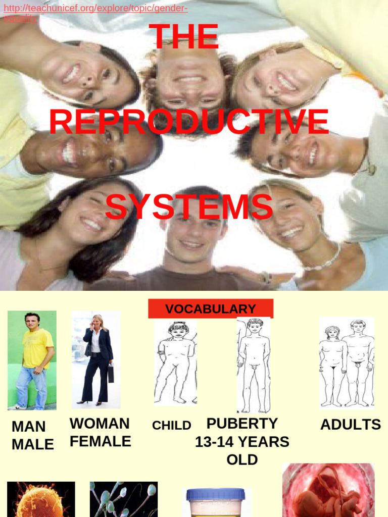 Understanding Male and Female Reproductive Systems | PDF | Reproductive ...