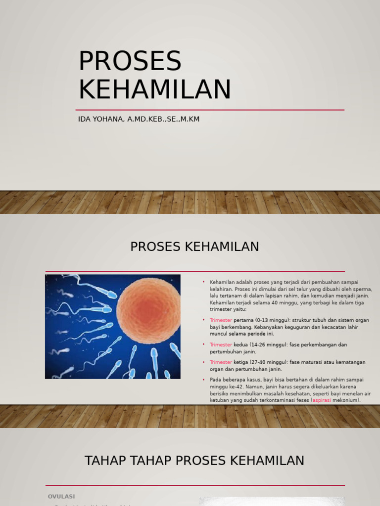 Proses Kehamilan | PDF