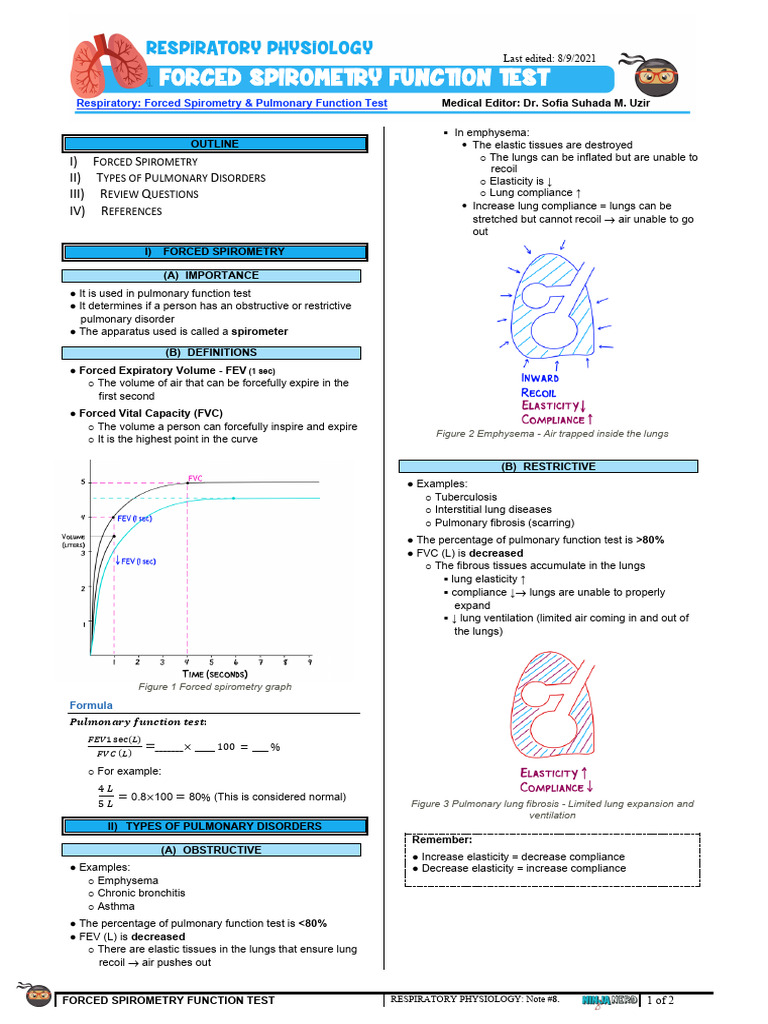 Forced Spirometry & Pulmonary Function Test | PDF | Lung | Respiratory ...
