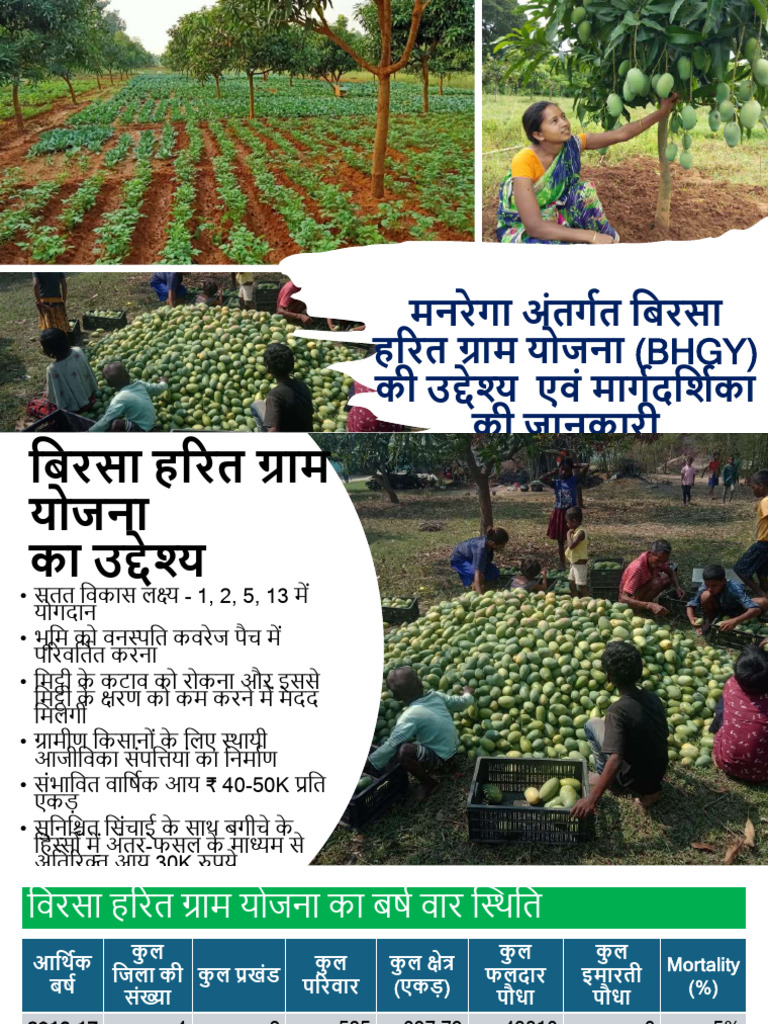 PPT On BHGY Guidelines 2024-25 | PDF