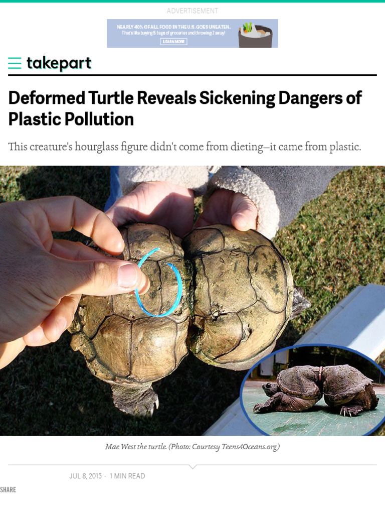 Deformed Turtle Reveals Sickening Dangers of Plastic Pollution TakePart ...