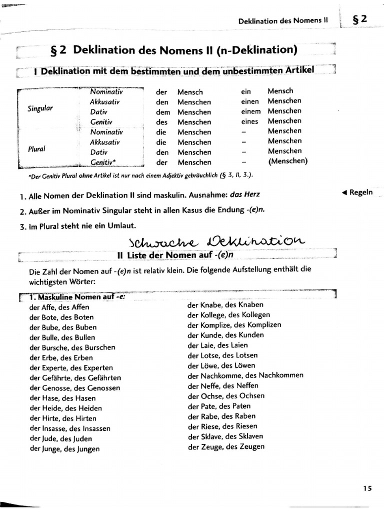 n deklination | PDF