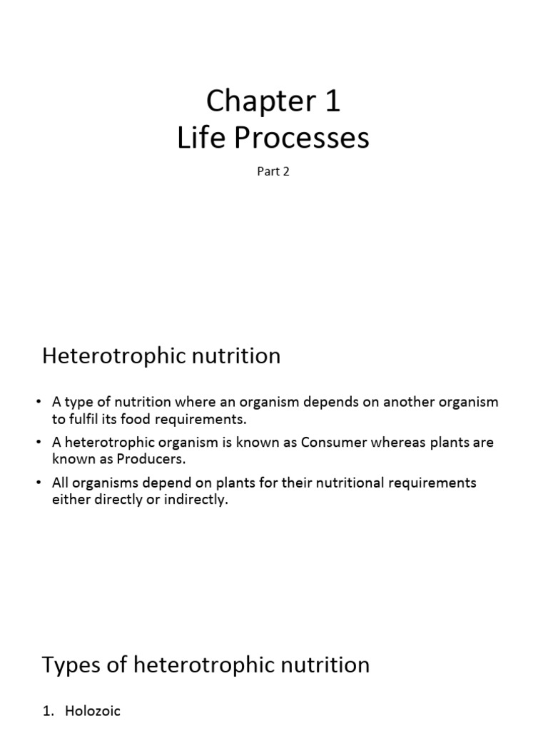 chapter 1 part 2 | PDF | Stomach | Digestion