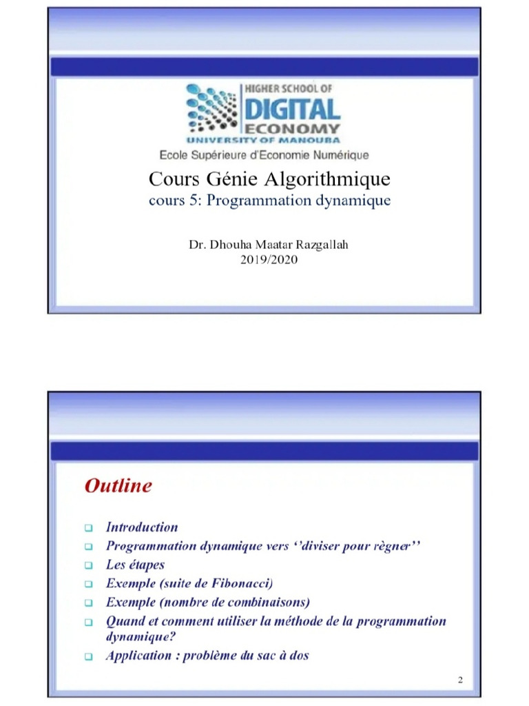 Programmation Dynamique | PDF