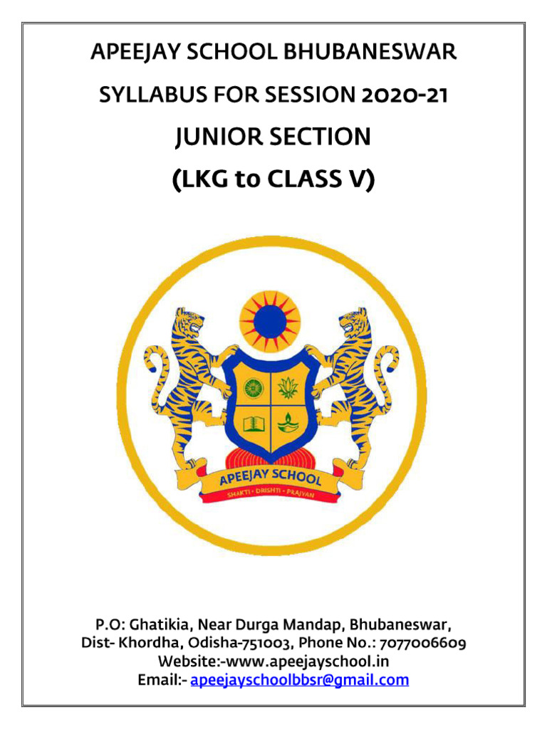 Syllabus Junior | PDF | Learning | Cognition