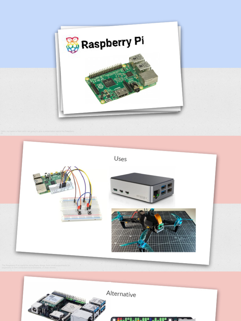 LIZANO Raspberry | PDF | Business | Computers
