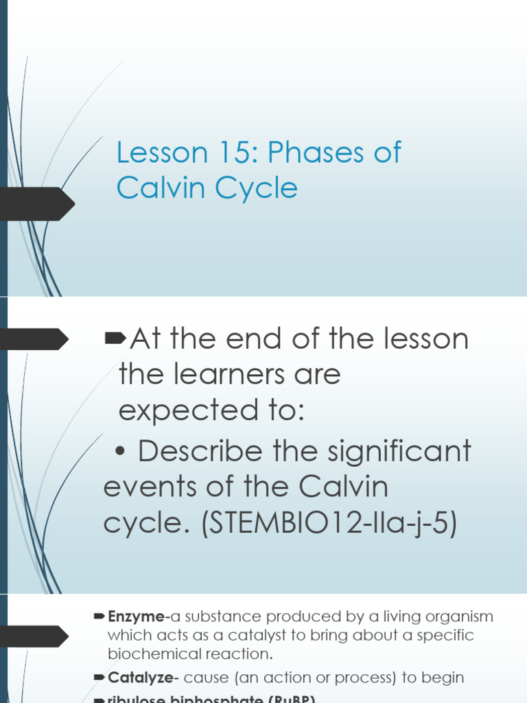 Lesson_15_CALVIN_CYCLE | PDF | Photochemistry | Cellular Processes