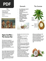 Da Coconut Nut: Song Origins and Impact | PDF | Coconut | Performing Arts