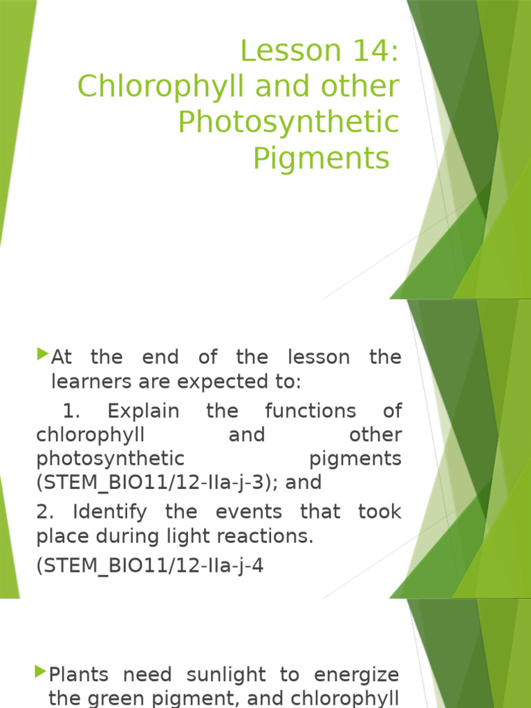 Lesson_78_Chlorophyll transport chain centriole | PDF | Photosynthesis ...