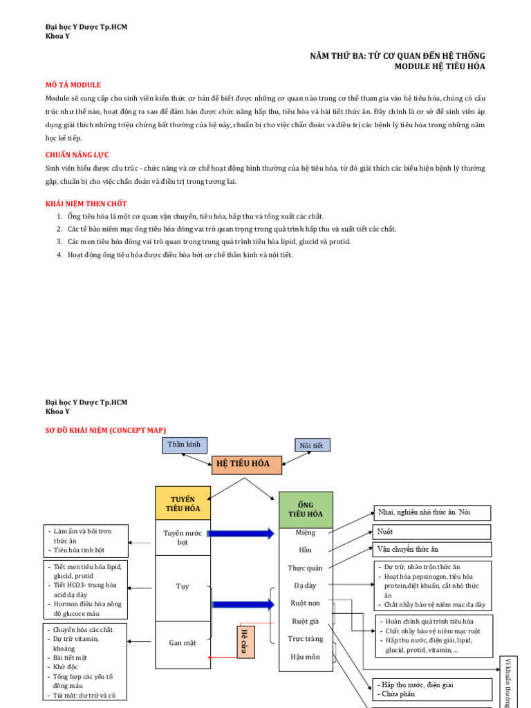 2019-07-04 - Module Tiêu Hóa | PDF