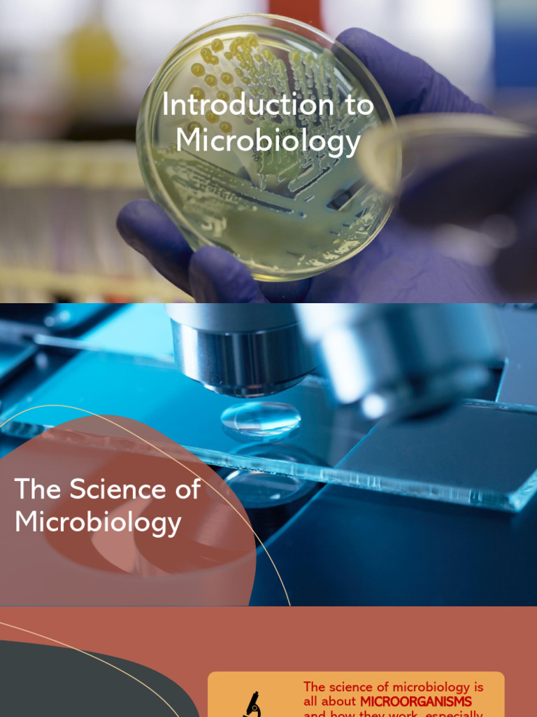 Intro to Microbiology revised | PDF | Microbiology | Louis Pasteur