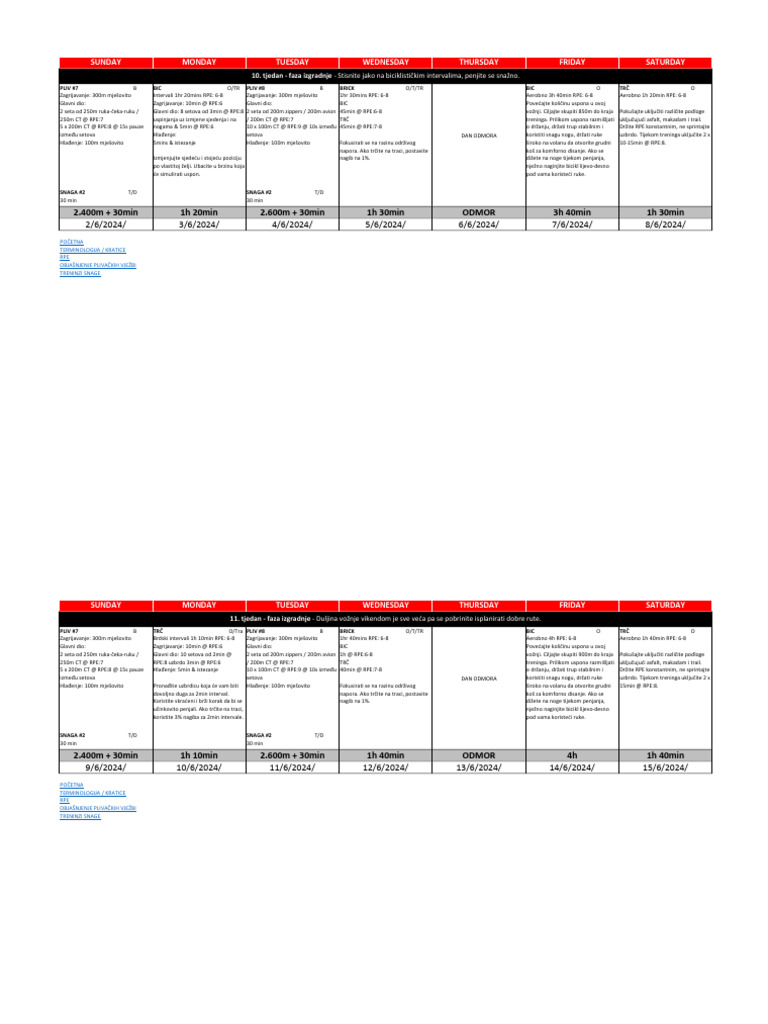 Jun Plan Treninga Vistica | PDF