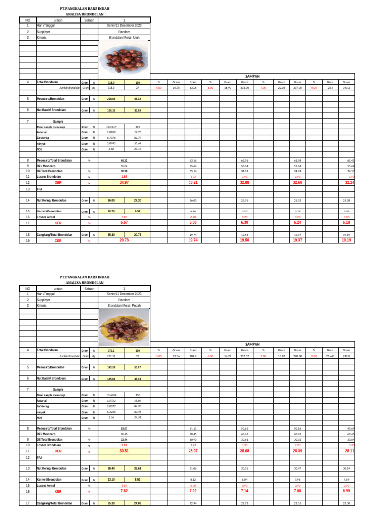Brondolan Analysis Report - Dec 2023 | PDF | Fruit | Plant Reproduction