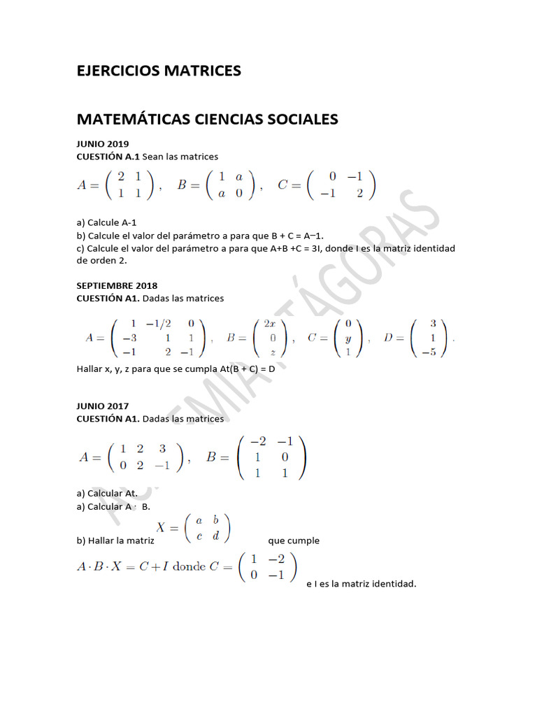 Ejercicios Matrices | PDF