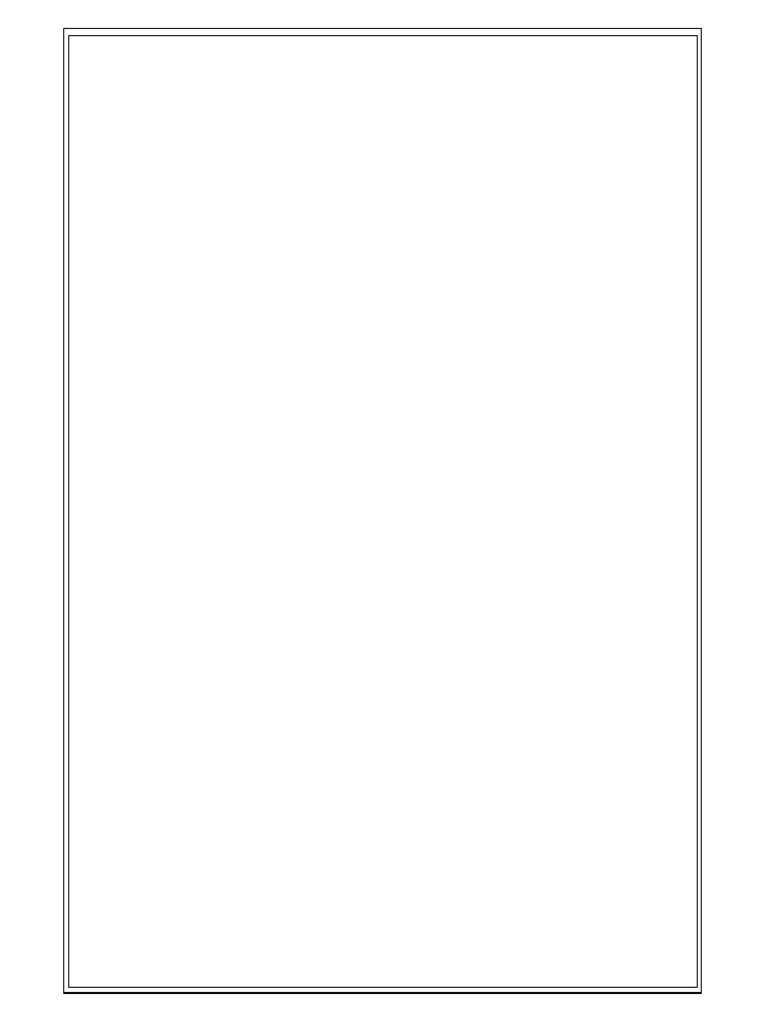 Double Margin | PDF