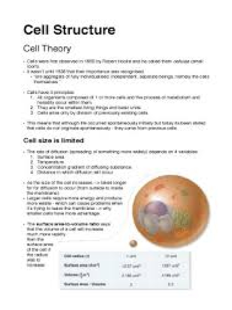 Cell 5 | PDF
