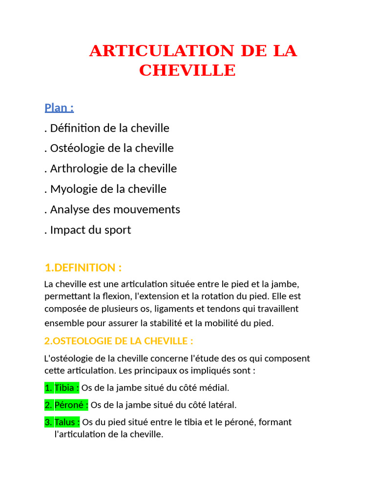 Articulation de La Cheville Anatomie Descriptives Grpup 1 | PDF | Pied ...