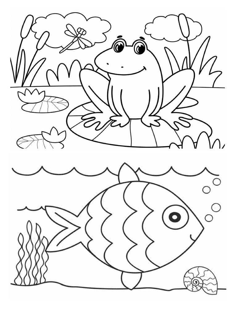Frog Fish | PDF