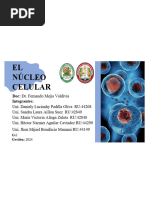 Replisoma | PDF | Replicación De Adn | Adn