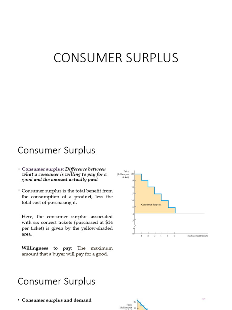 10_CONSUMER SURPLUS | PDF | Economic Surplus | Marketing