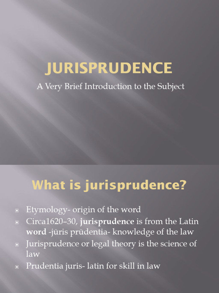 Jurisprudence | PDF