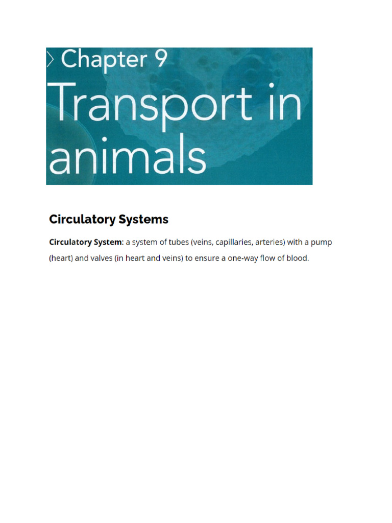 Chapter 9 Bio | PDF | Heart | Atrium (Heart)