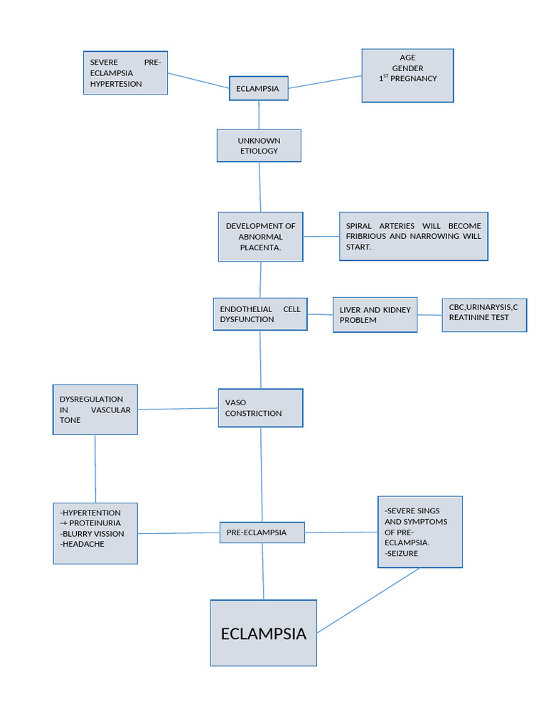PATHO ECLAMPSIA | PDF