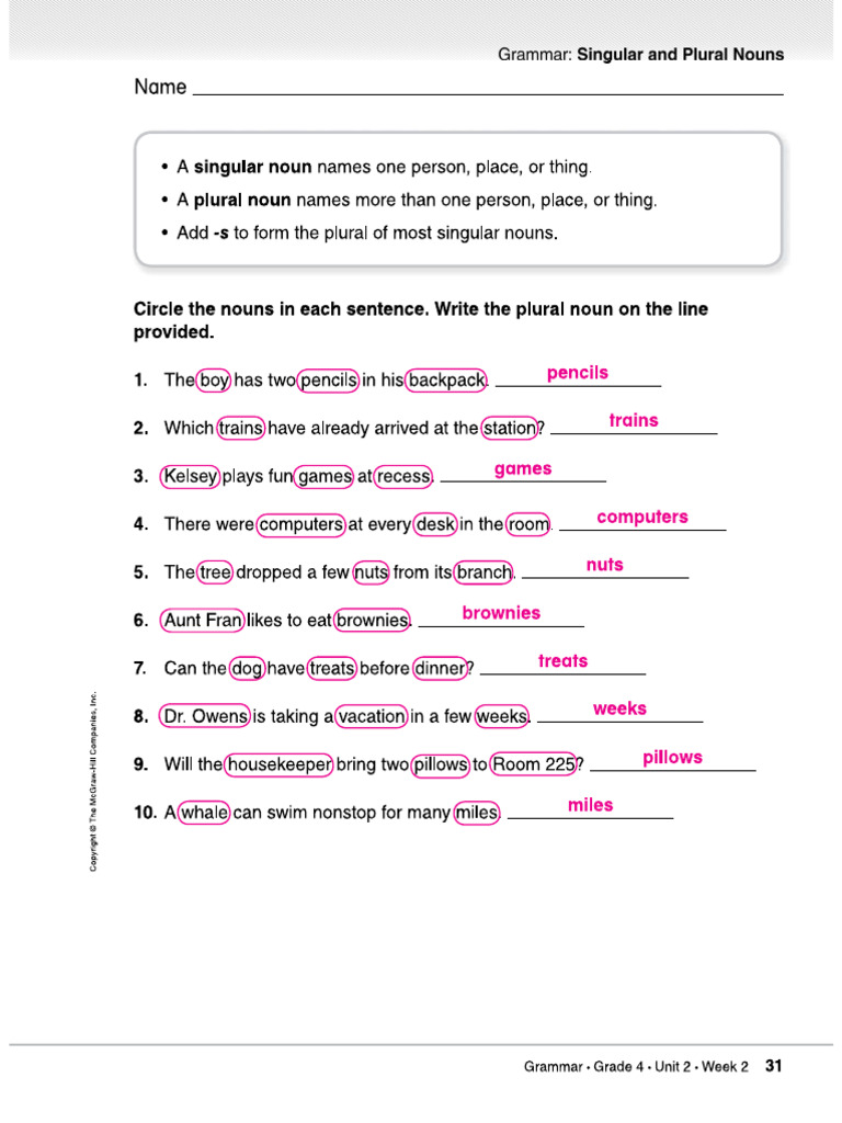 Singular and Plural Nouns1 | PDF