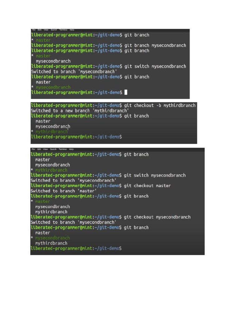 Branch and Merges | PDF