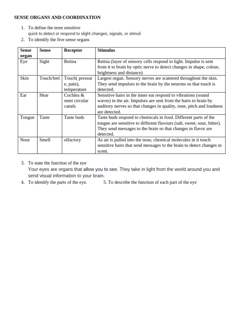 Understanding Sense Organs and Vision | PDF | Senses | Eye