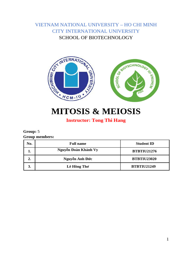 Genetics Mitosis and Meiosis | PDF | Meiosis | Mitosis